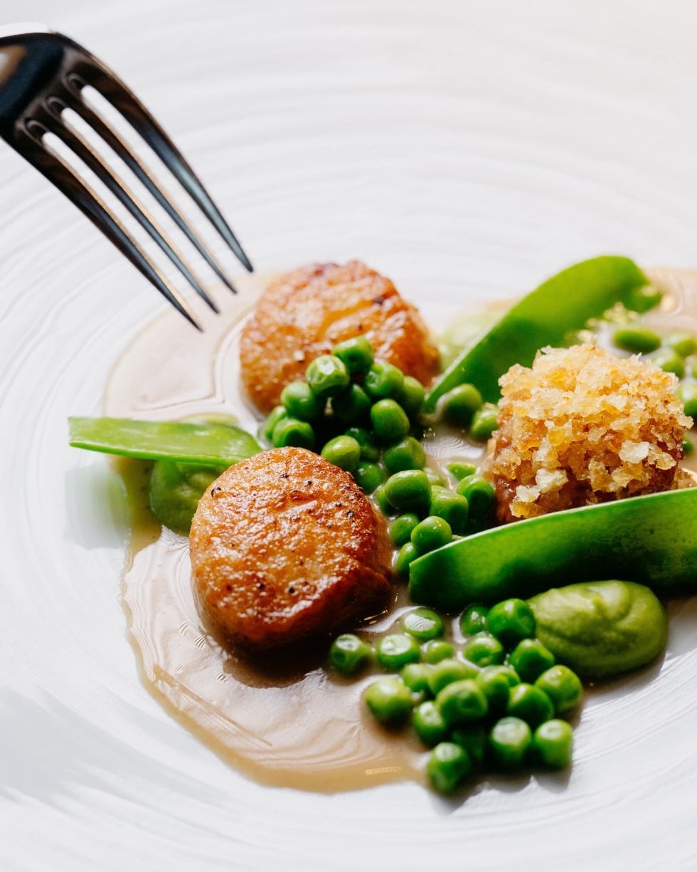 MOLO Restaurant – zážitková restaurace nad jezerem Lipno